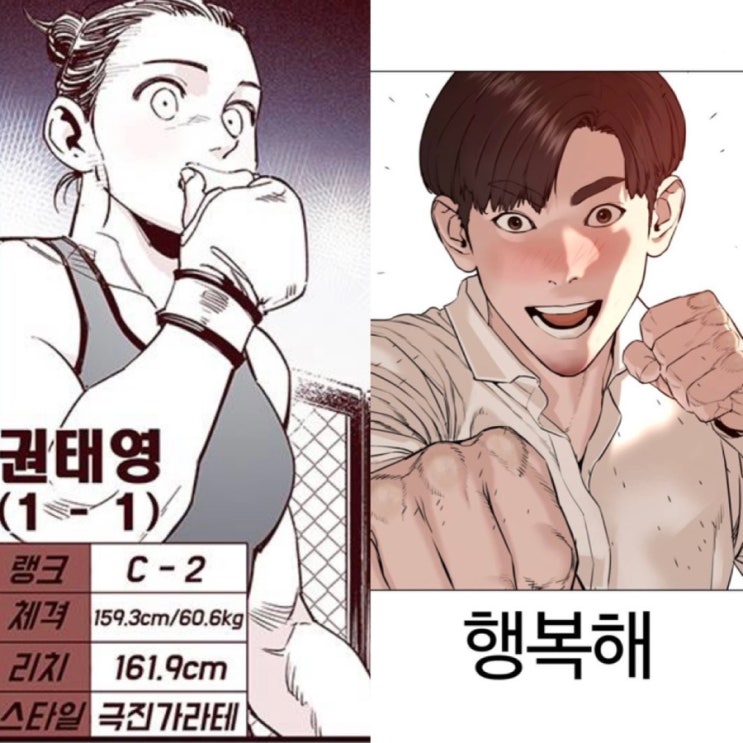 격투기 종목의 끝판왕 극진가라데극진공수도 종합격투기mma까지 한번에 한다 도봉구 유일 최초의 극진공수도 전문