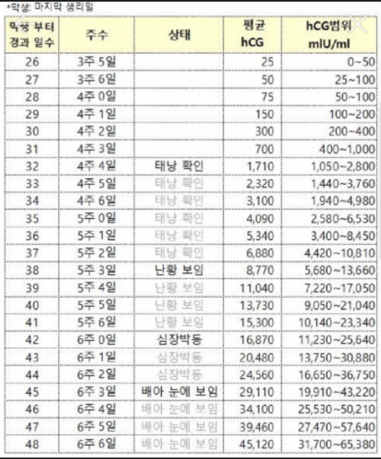 D 임신일기 4주 임신확인 피검사이은지마리산부인과 습관성유산검사nk세포 단백질혈전검사갑상선기능저하증하시모토갑상선염