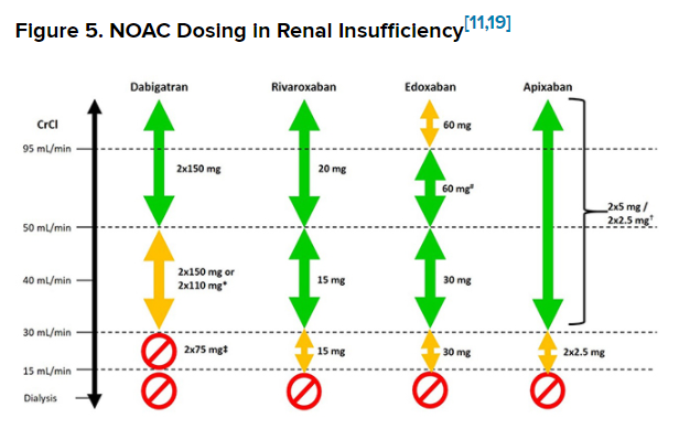 신장 기능 악화 시 NOAC 용량 결정 : 네이버 블로그