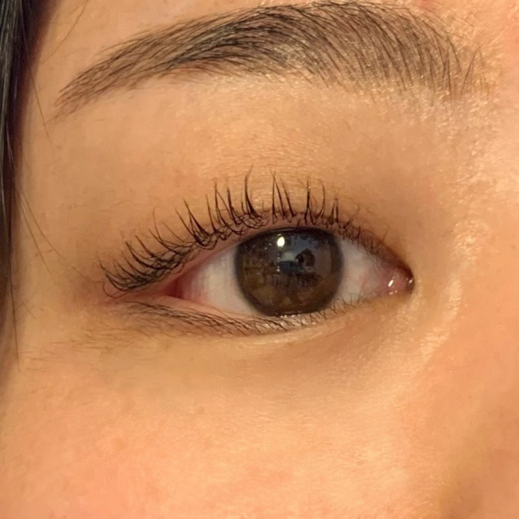 내돈내산 아던샵 와이츄 속눈썹펌 키트 비교리뷰 (+ 설명 추가 ) : 네이버 블로그