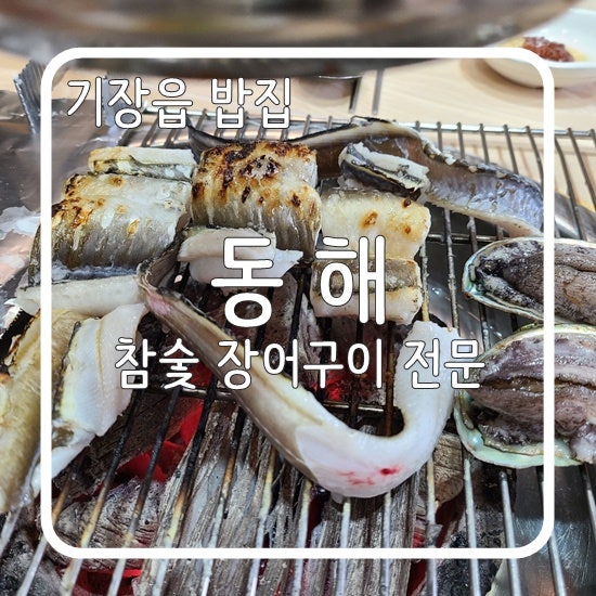 기장읍 밥집 유명한 기장 월전 장어 참숯 장어구이 전문 동해 횟집 네이버 블로그