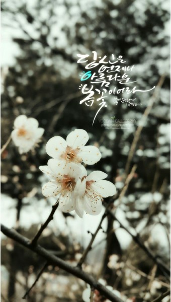 새로운출발신규관원모집새학년화정동체육관우리동네체육관화진초상진초양지초방어진초화암초엠코타운엠코타운상가우리동네