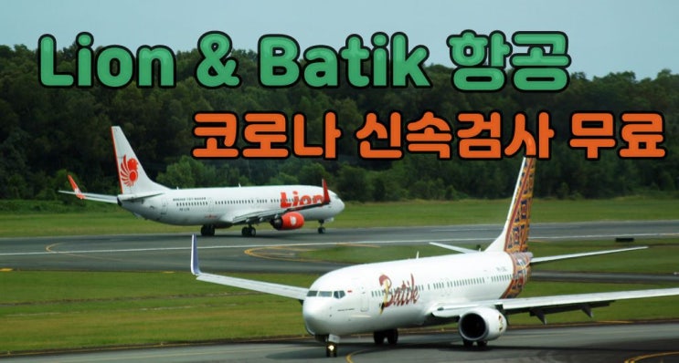 라이언항공 & 바틱항공 탑승자 국내선 코노나 검사 무료 : 네이버 블로그