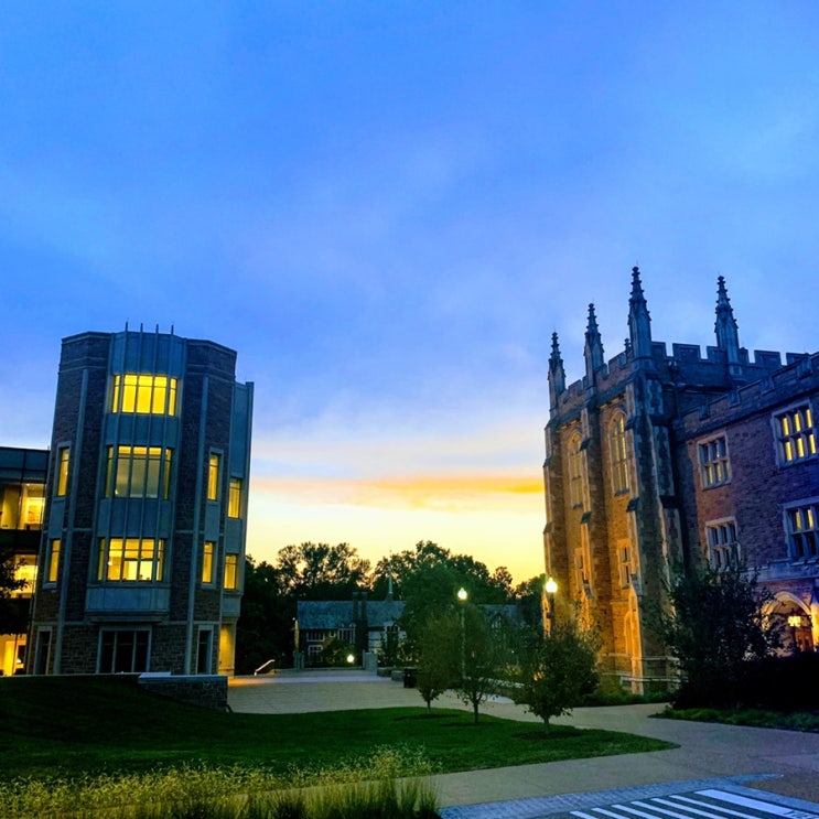 미국 사회복지 석사 (MSW) - 커리큘럼 (수업 및 실습) 소개 (Washington University in St ...