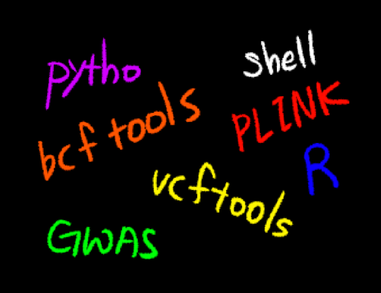 [생물정보학 :: GWAS 분석 :: bcftools/vcftools] vcf 파일 - SNP / PASS / 0.5 샘플 ...