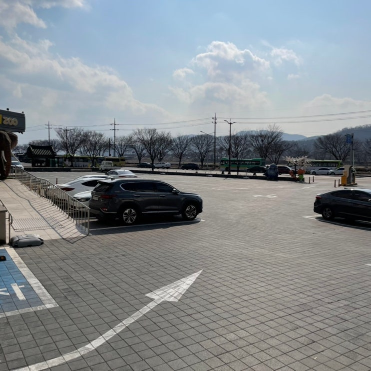 경주 동물원 / 경주 갈만한곳 [와우주 (wow zoo)] : 네이버 블로그