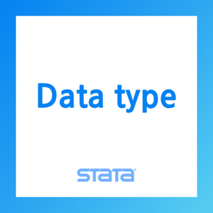 [Stata] Data type - 저장타입(데이터타입)_byte/int/long/float/double/str : 네이버 블로그