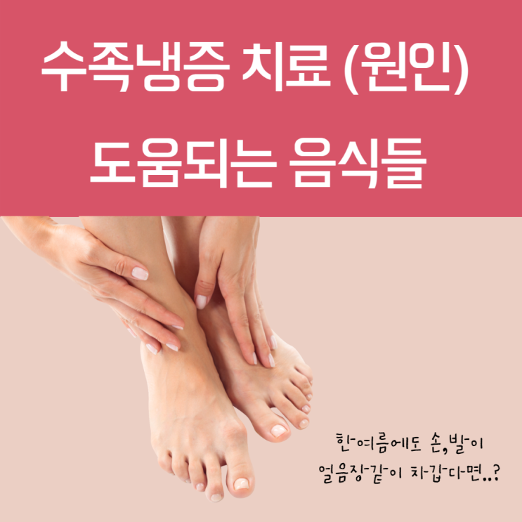 수족냉증 치료 원인수족냉증에 좋은 음식 네이버 블로그