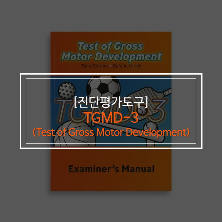 [대근육 운동능력 평가도구] TGMD-3(Test of Gross Motor Development) : 네이버 블로그