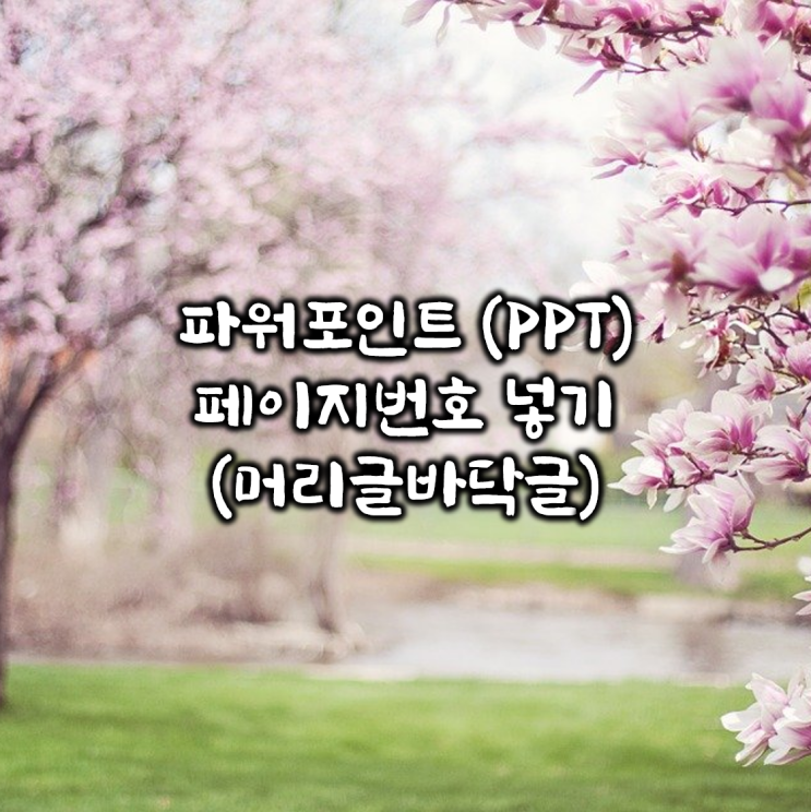 파워포인트ppt 페이지번호 넣기 머리글바닥글 네이버 블로그