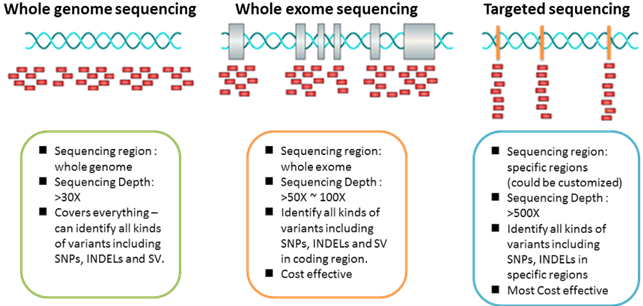 WGS 와 WES 의 차이점 : 네이버 블로그