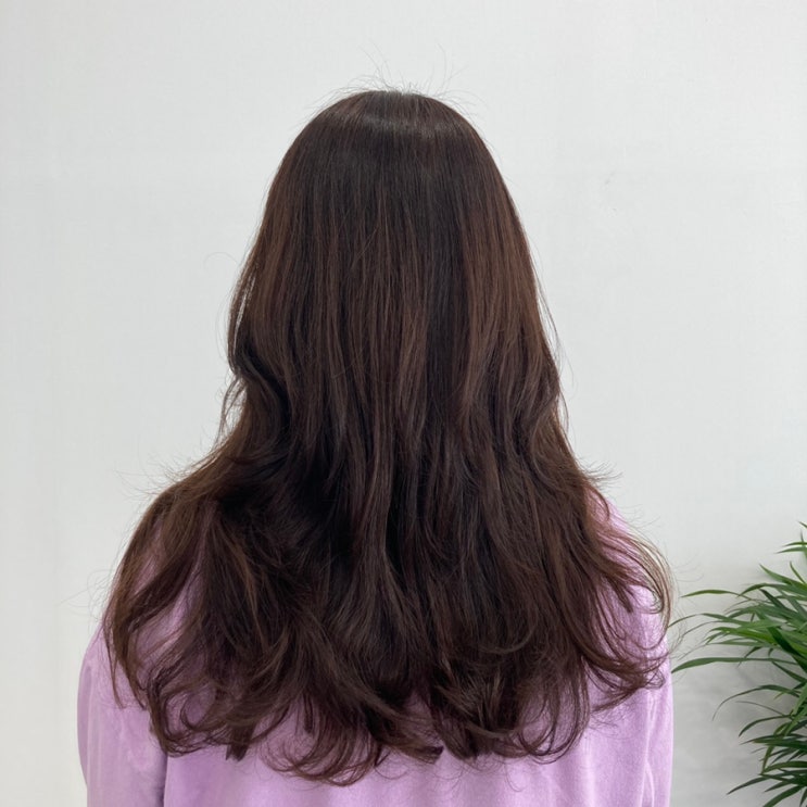 세종시 미용실 레이어드펌 잘하는 곳 살롱드영에서 인생머리 찾으세요 ̈ 네이버 블로그