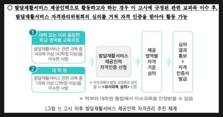 발달재활서비스 제공인력 자격 네이버 블로그