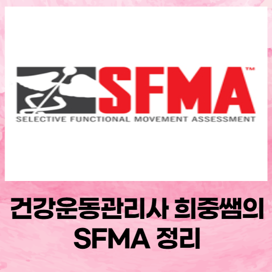 [그레이쿡의 움직임] SFMA 평가 상세항목과 채점표 및 순서도 : 네이버 블로그