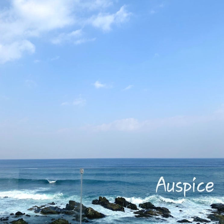 [포항/남구] 호미곶 근처 카페, 바다를 품은 카페, 어스피스 커피(Auspice coffee) : 네이버 블로그