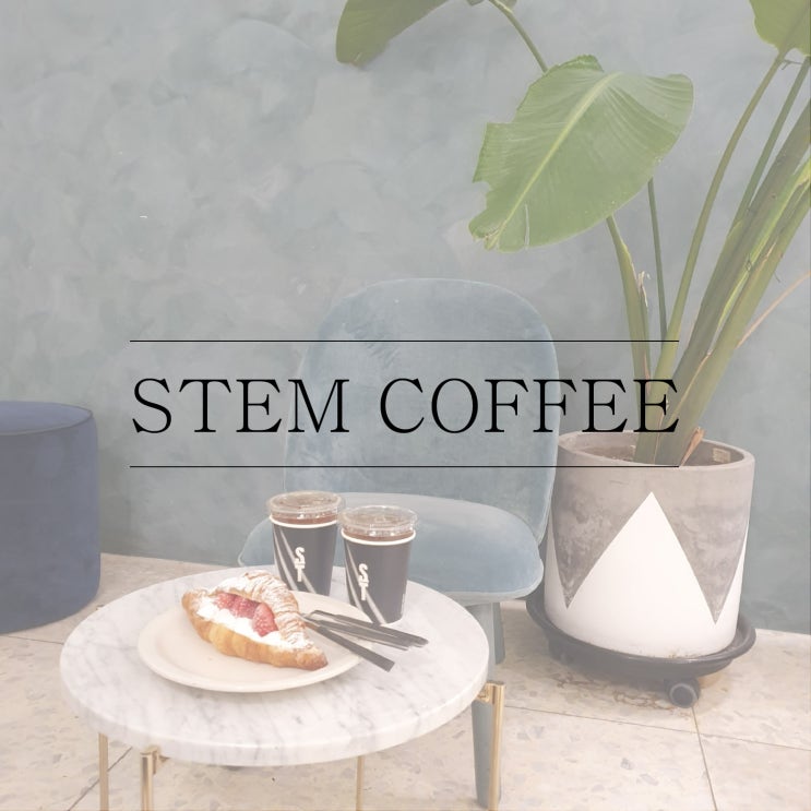 봉은사역 삼성동 코엑스 스타필드 카페 스템커피 Stemcoffee 네이버 블로그