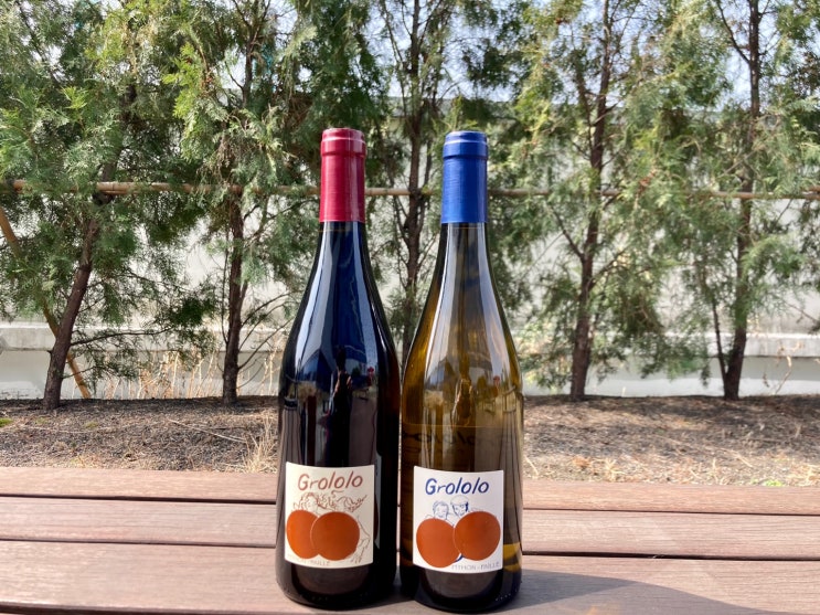 [내추럴와인] 그롤로로, 그롤롤로 블랑 / Grololo, Grololo Blanc : 네이버 블로그