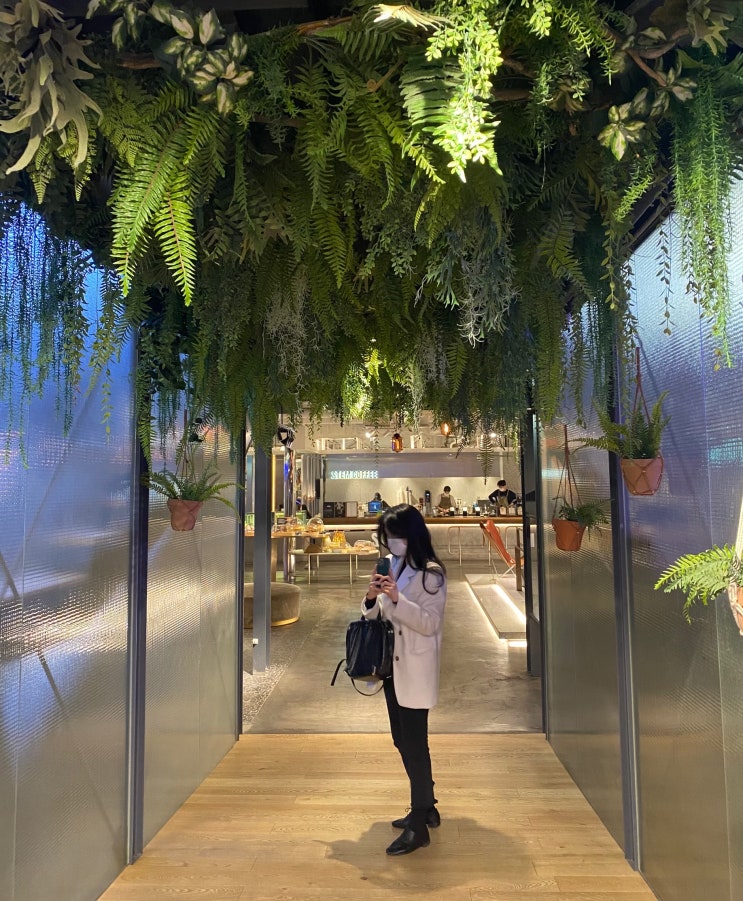 [서울 강남]삼성역 코엑스 '스템커피' (STEM COFFEE) : 네이버 블로그