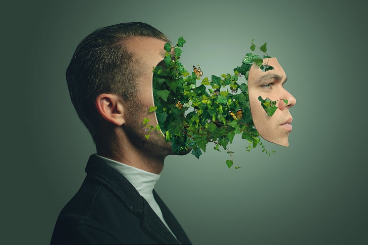 식물로 뒤덮인 얼굴 포토샵 합성 튜토리얼 : 네이버 블로그