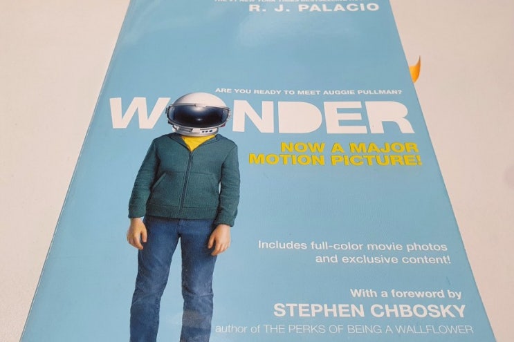 영어 원서 '원더(Wonder)' Part 7에서 뽑은 어휘 10 : 네이버 블로그