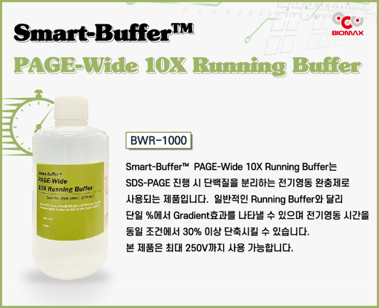 Smart-Buffer™ PAGE-Wide 10X Running Buffer : 네이버 블로그