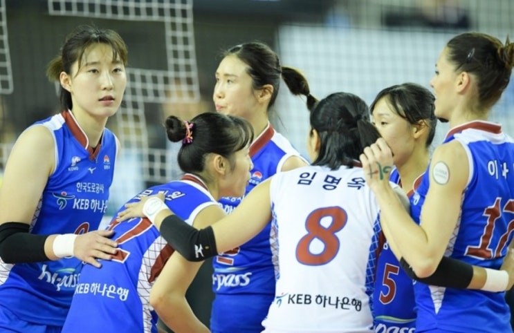 KOVO 프로배구 17일 우리카드 vs KB손해보험 도로공사 vs GS칼텍스 : 네이버 블로그