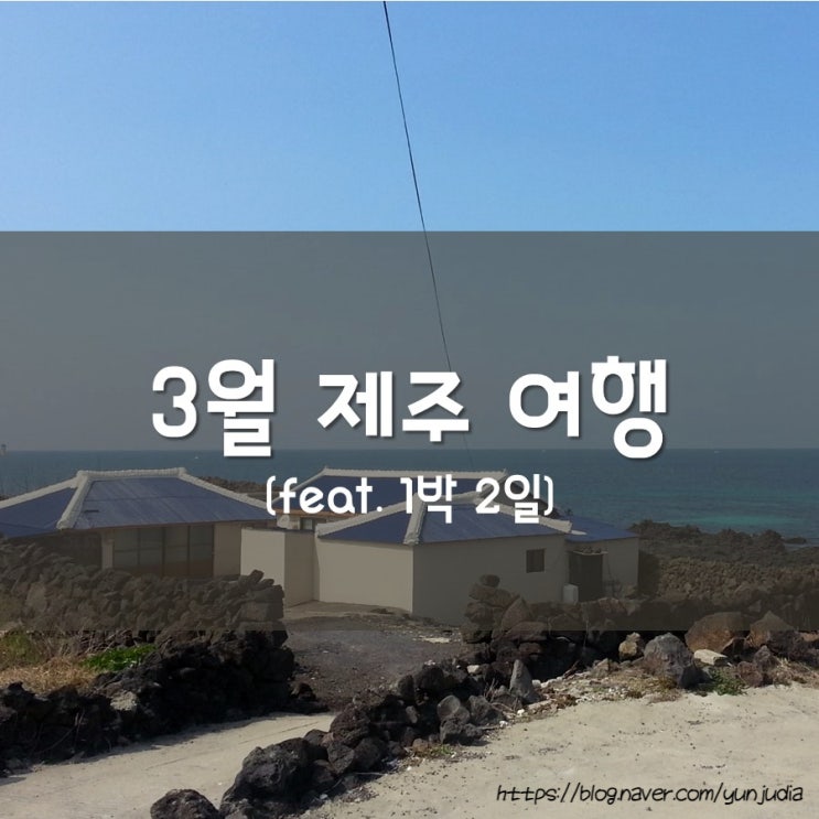 제주도 1박 2일 제주먹방투어 선녀와 나무꾼 테마파크 제주시 맛집 골막식당 해녀촌 네이버 블로그