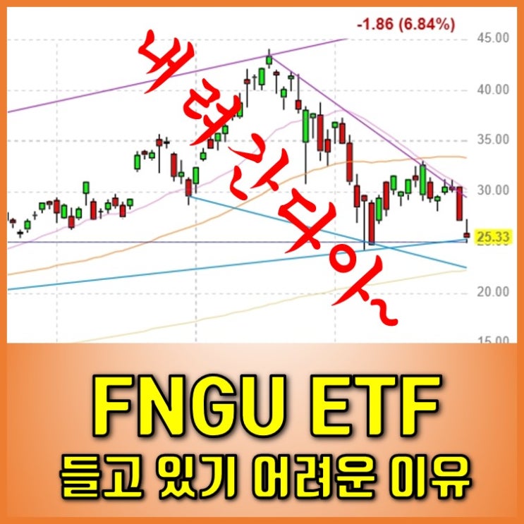 FNGU ETF 상승의 불안요소 : 중국 주식 알리바바, 바이두, 3배 레버리지 : 네이버 블로그