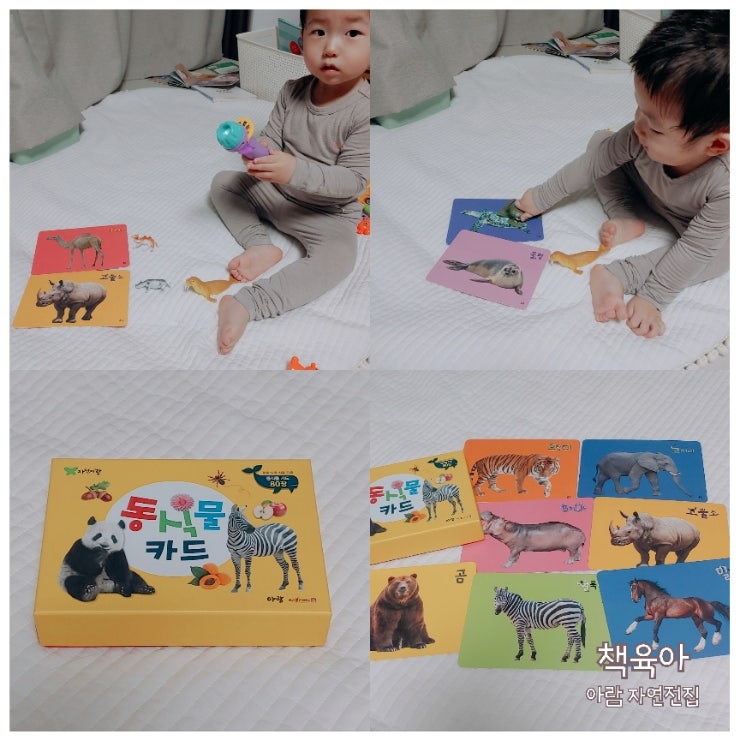 자연전집 아람 우리자연이랑과 함께하는 즐거운 책육아 네이버 블로그