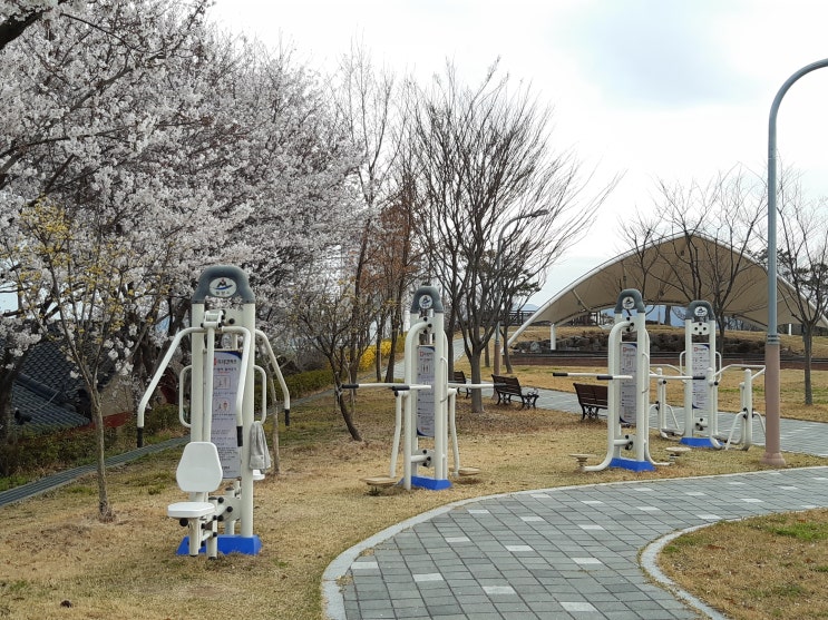 밀양 가볼 만한 곳 봄 햇살 가득한 낙동강을 조망해 볼 수 있는 하남읍 당말리 공원~~ 네이버 블로그