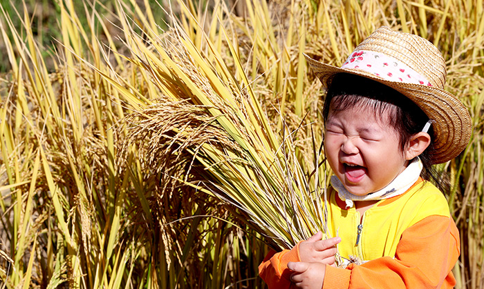 후죠션 시대 개인은 국가의 적이었다 : 네이버 블로그