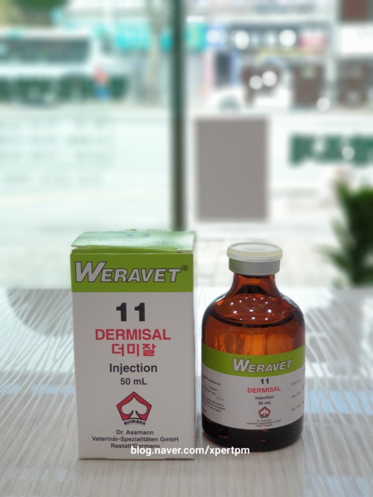 더미잘 DERMISAL ® 강아지 피부질병, 피모상태개선 동물약국 청주동물약국 늘봄동물약국 : 네이버 블로그