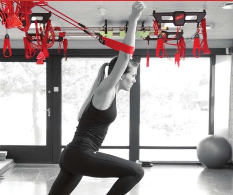 슬링운동(Sling Exercise Therapy) 시스템이란? : 네이버 블로그