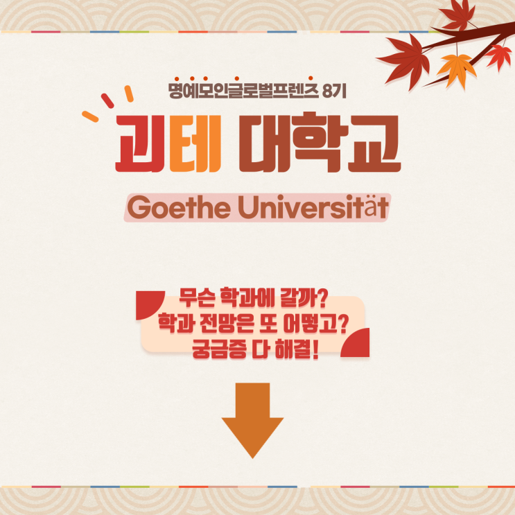 명예모글즈 8기 독일 교환학생 괴테대학교 전공 및 진로무역 경영 경제 네이버 블로그