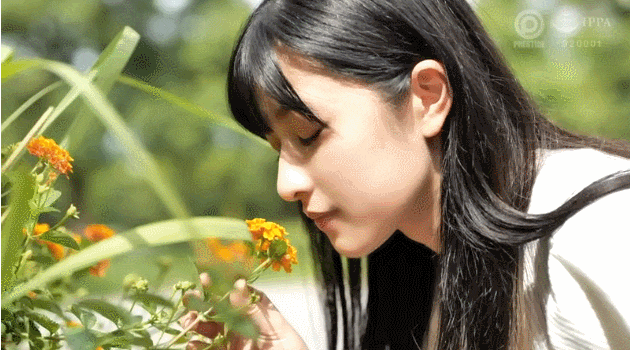 Prestige 코바토 무기 小鳩麦mugi Kobato 외7명 9월 라인업 네이버 블로그
