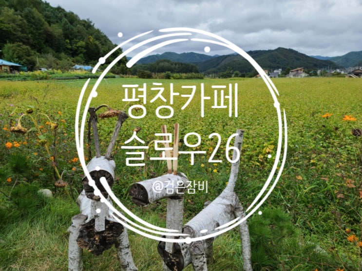평창 여행을 계획중이시라면 찾아갈만한 평창 봉평 카페 슬로우26. : 네이버 블로그