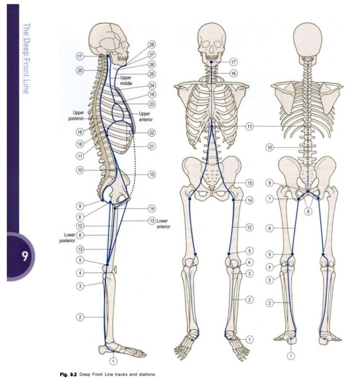 허리수술 후 재활치료 케이스 : 네이버 블로그