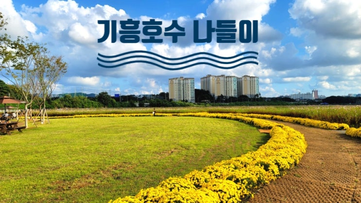 기흥호수기흥 신갈 저수지 용인조정경기장 물빛정원 공원 산책과 차박지 네이버 블로그