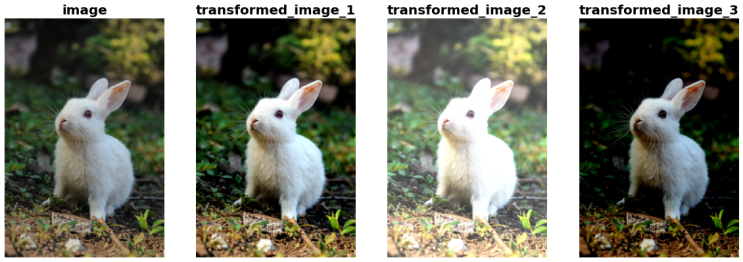 [albumentations] 분류를 위한 이미지 증강(augmentation) : 네이버 블로그