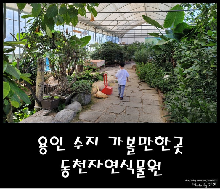동천자연식물원 용인 숲놀이터 수지 아이와 가볼만한곳 네이버 블로그