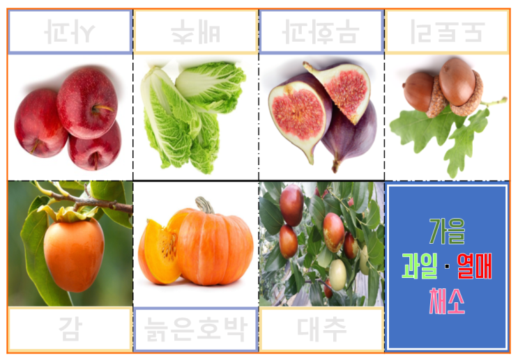 가을과일열매채소 작은책 네이버 블로그