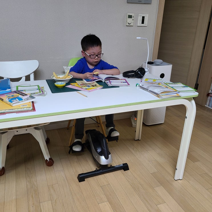 이고진 쇼파바이크 헬스자전거 EM960 내돈내산 후기 : 네이버 블로그