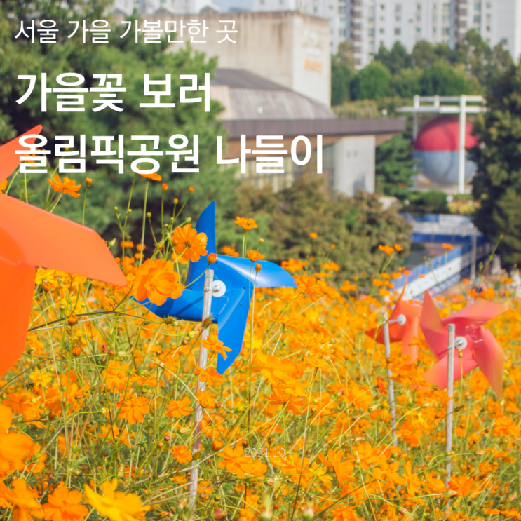 올림픽공원 핑크뮬리 황화코스모스 위치 가는법 네이버 블로그