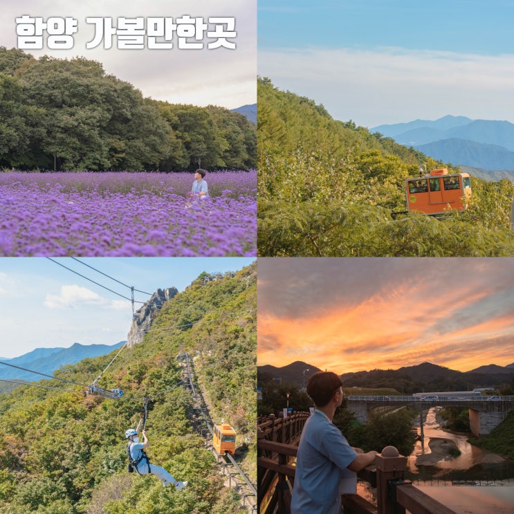 함양 가볼만한곳 국내액티비티여행 대봉산휴양밸리 모노레일 짚라인 상림공원 포함 경남여행지 추천 네이버 블로그
