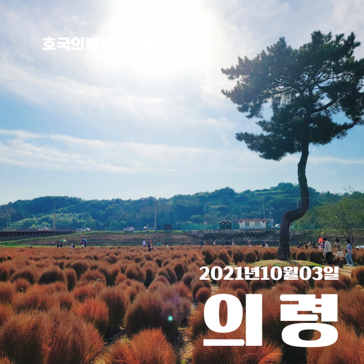 경남 의령 댑싸리 친수공원 가을 가볼만한곳 코스모스 이뻐요 네이버 블로그