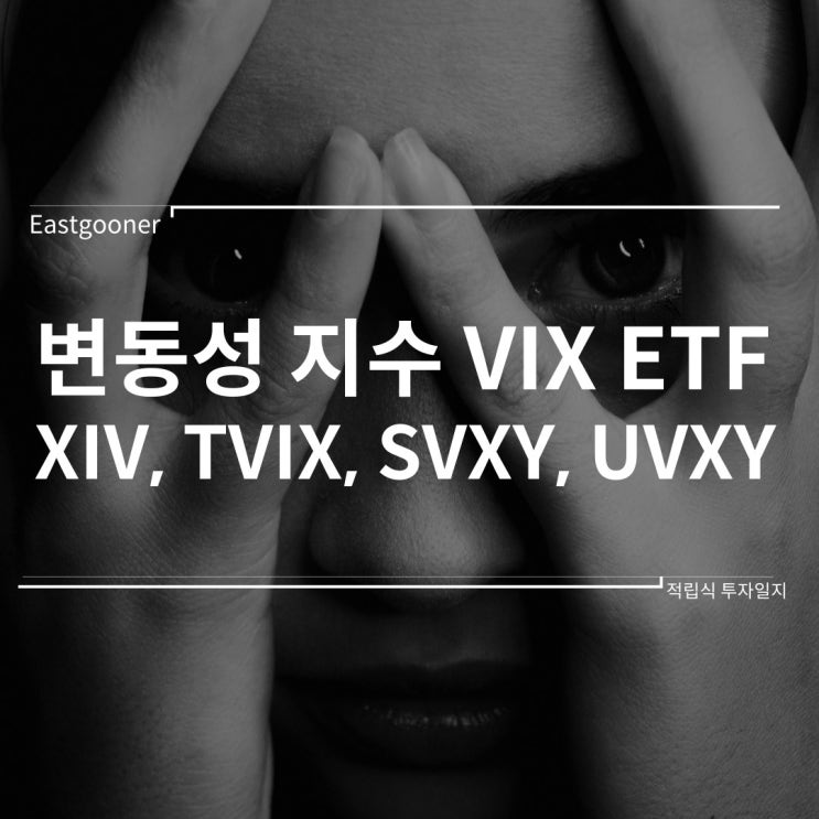 변동성 지수 VIX ETF : XIV, TVIX, SVXY 주가 / 비교 : 네이버 블로그