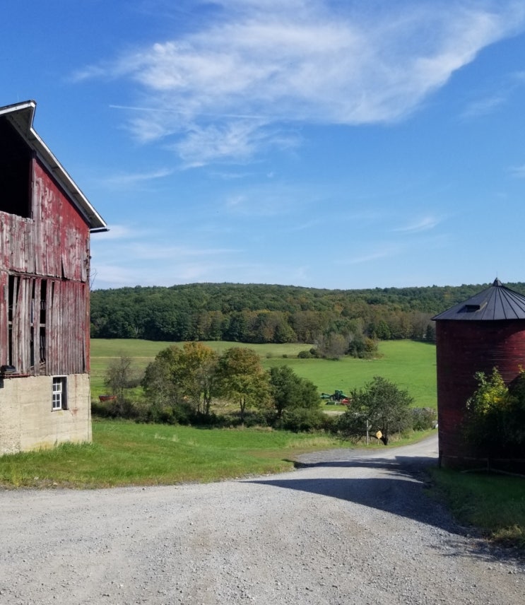 뉴욕 / 힐스데일, 로저스 북반 Rodgers Book Barn : 네이버 블로그
