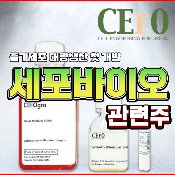 세포바이오(CEFO) 관련주 : 네이버 블로그