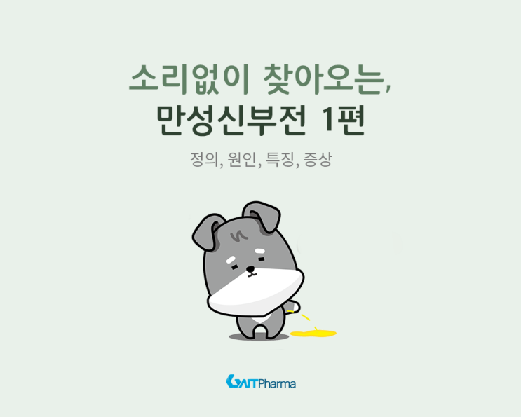 8 소리 없이 찾아오는 만성신장질환만성신부전 1편 정의 원인 특징 증상 네이버 블로그