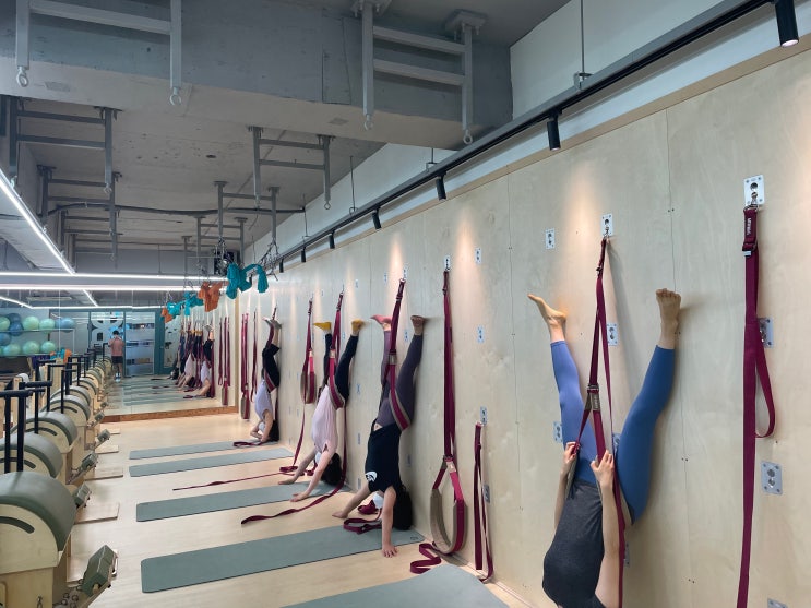 부산 양정 기구필라테스 교정 재활 그리고 테라피월 요가와 소도구 필라테스도 함께해요~~🥰 네이버 블로그